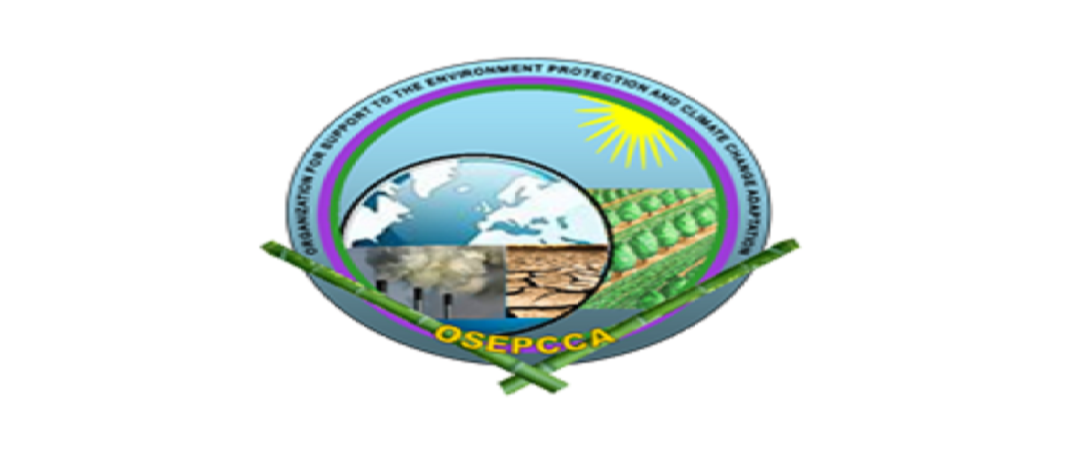 Accountant at Organization for Support to the Environment Protection ...